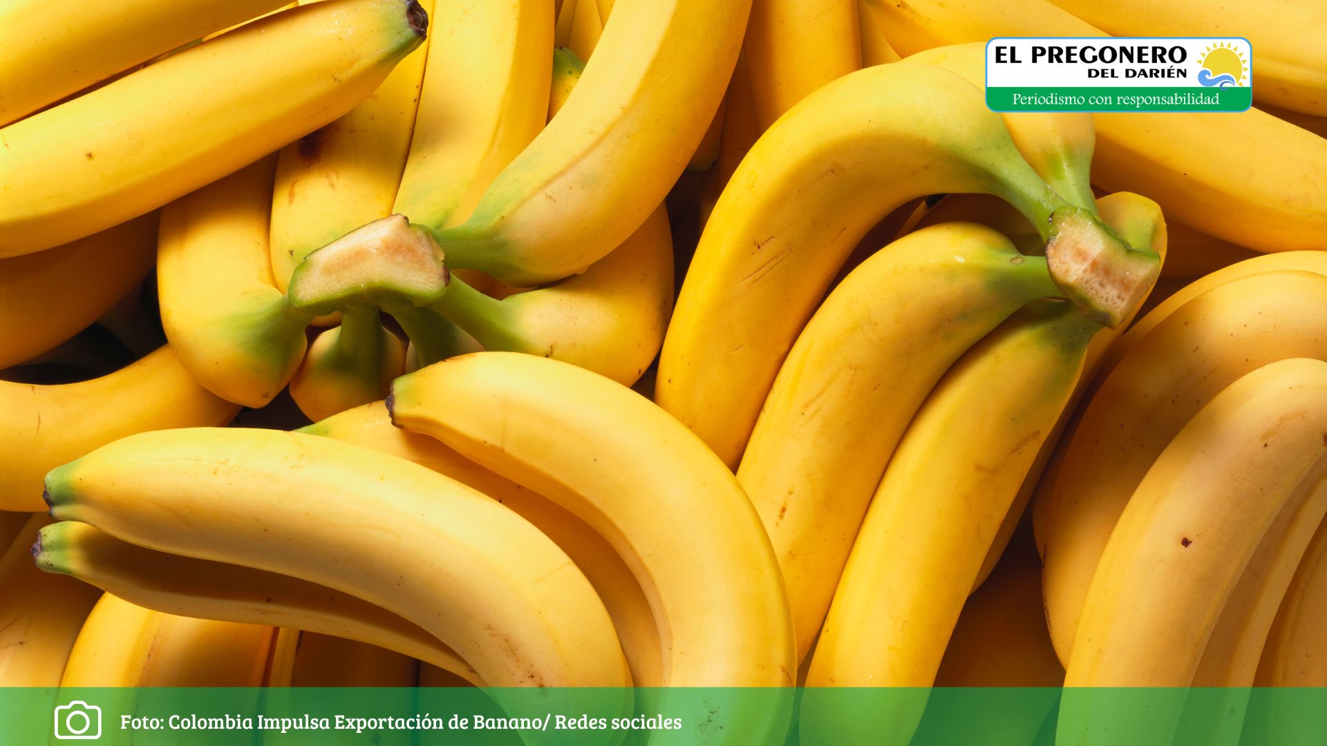 Colombia Impulsa Exportación de Banano