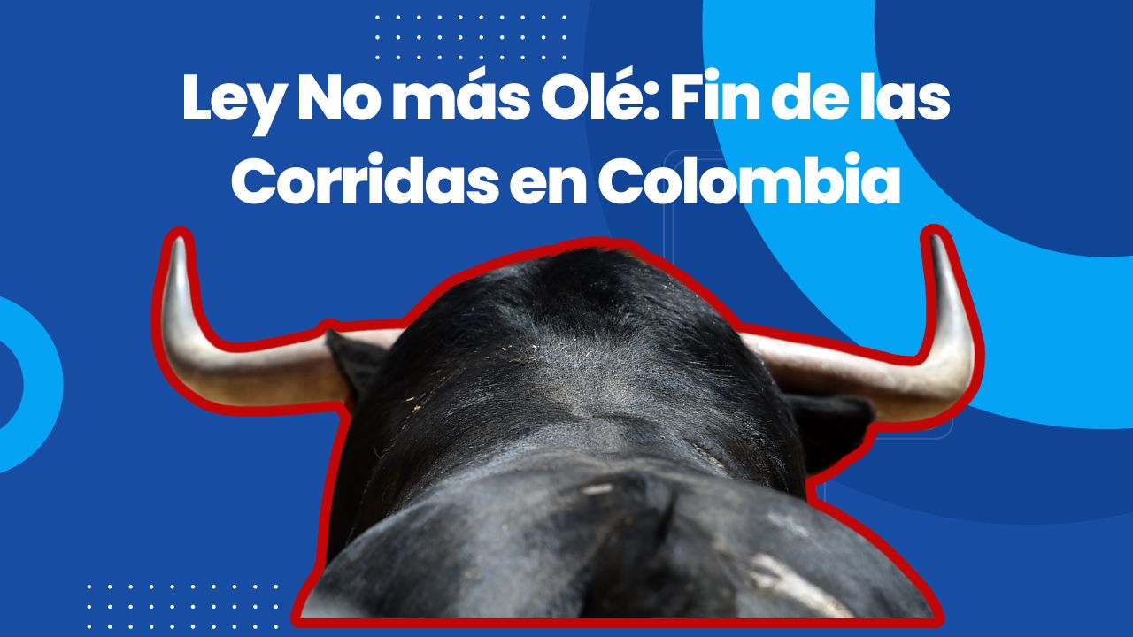 Ley No más Olé: Fin de las Corridas en Colombia